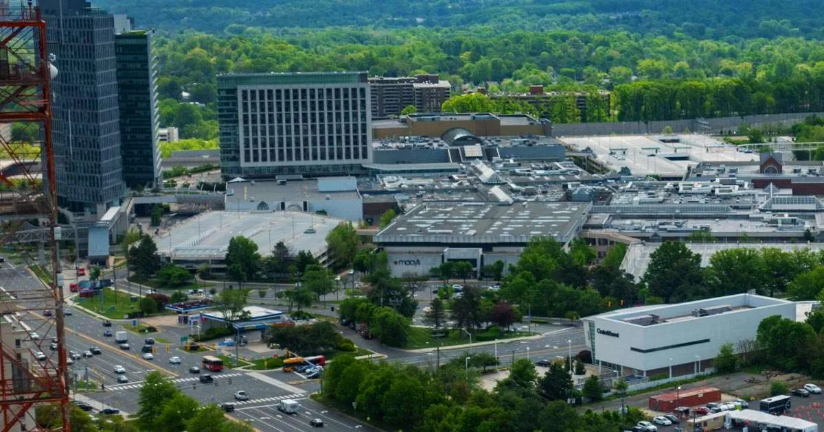 Vienna Used & Junk Car Cash Buyer - Virginia Car Buyers